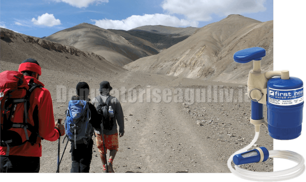 ART. 1001 FIRST NEED XLE